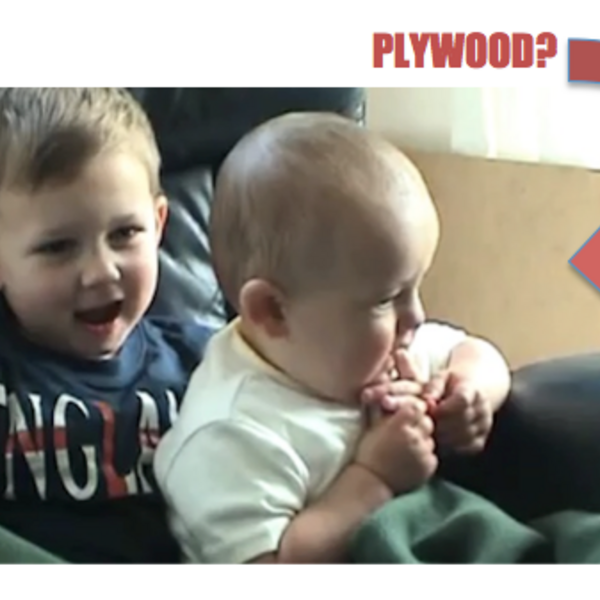 The Backgrounds in Viral Videos: What’s Really Funny/Scary/Blurry ...